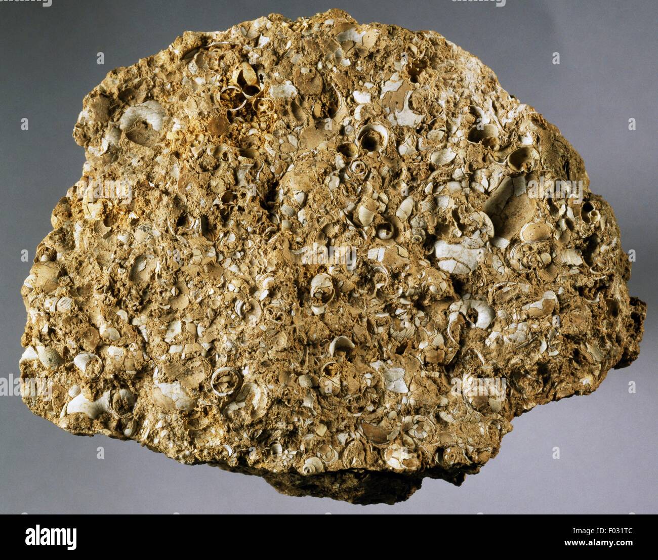 Breccia rock hi-res stock photography and images - Alamy