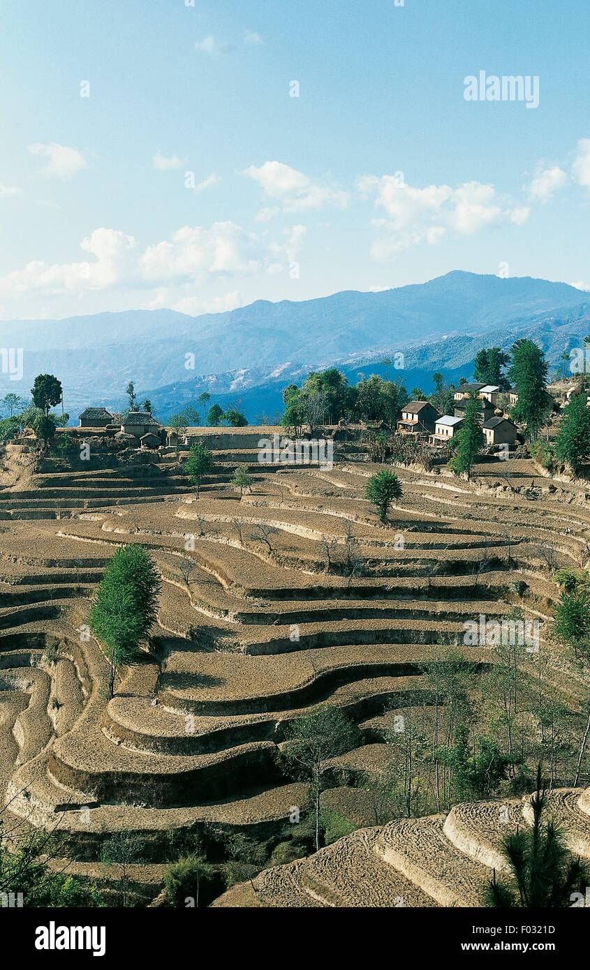 Terraced crops, near Nagarkot, Kathmandu region, Nepal Stock Photo - Alamy