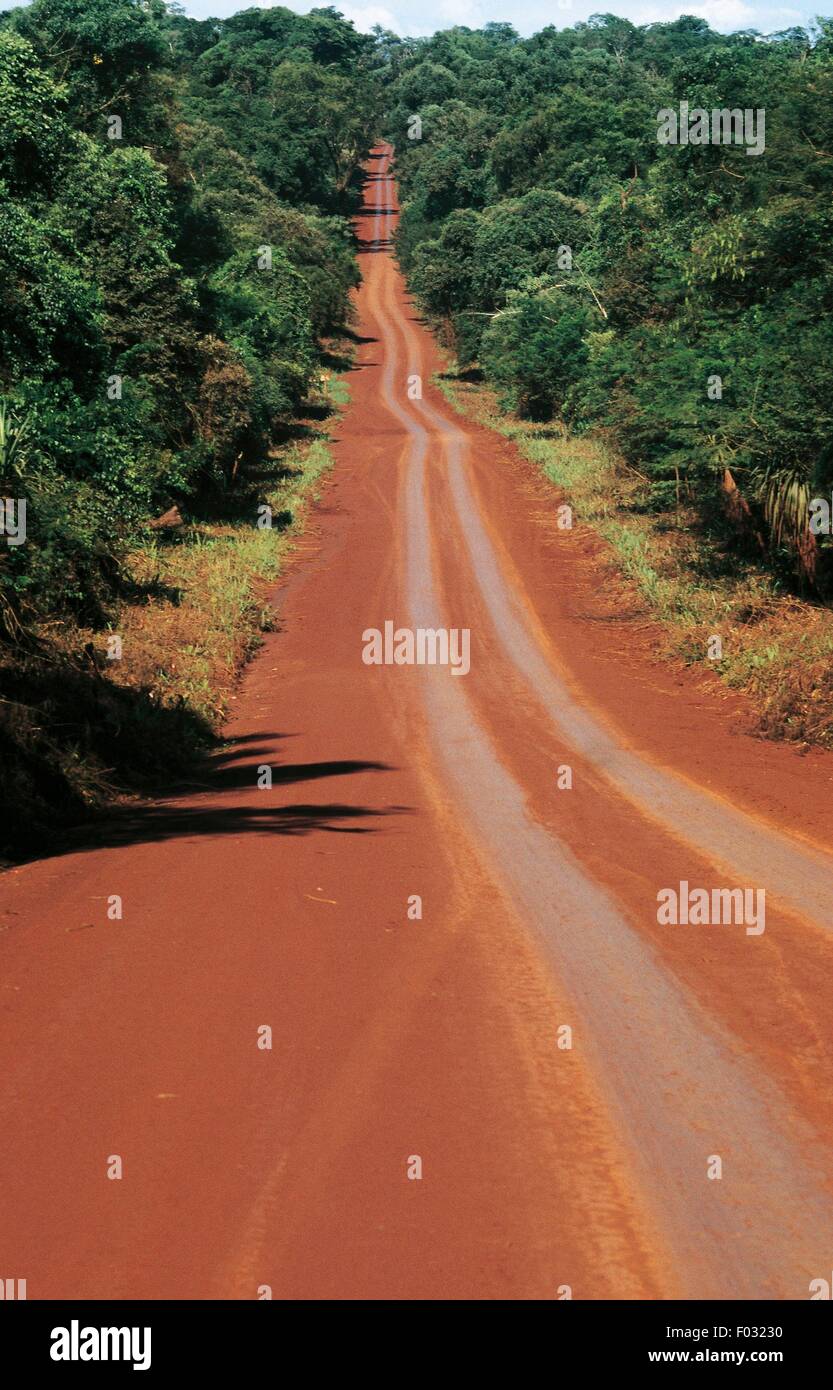 Trail in the forest, Amazon rainforest (Amazonia), Brazil Stock Photo ...