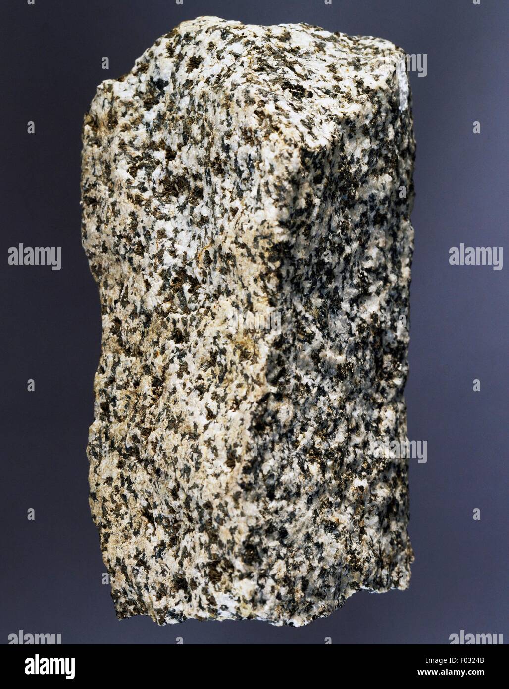 Monzonite, holocrystalline intrusive rock Stock Photo - Alamy