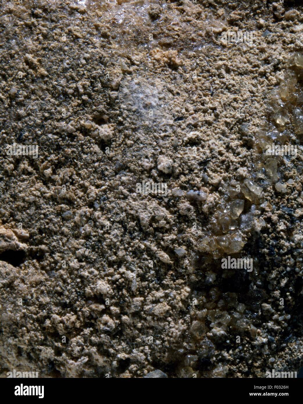 Phosphorite hi-res stock photography and images - Alamy