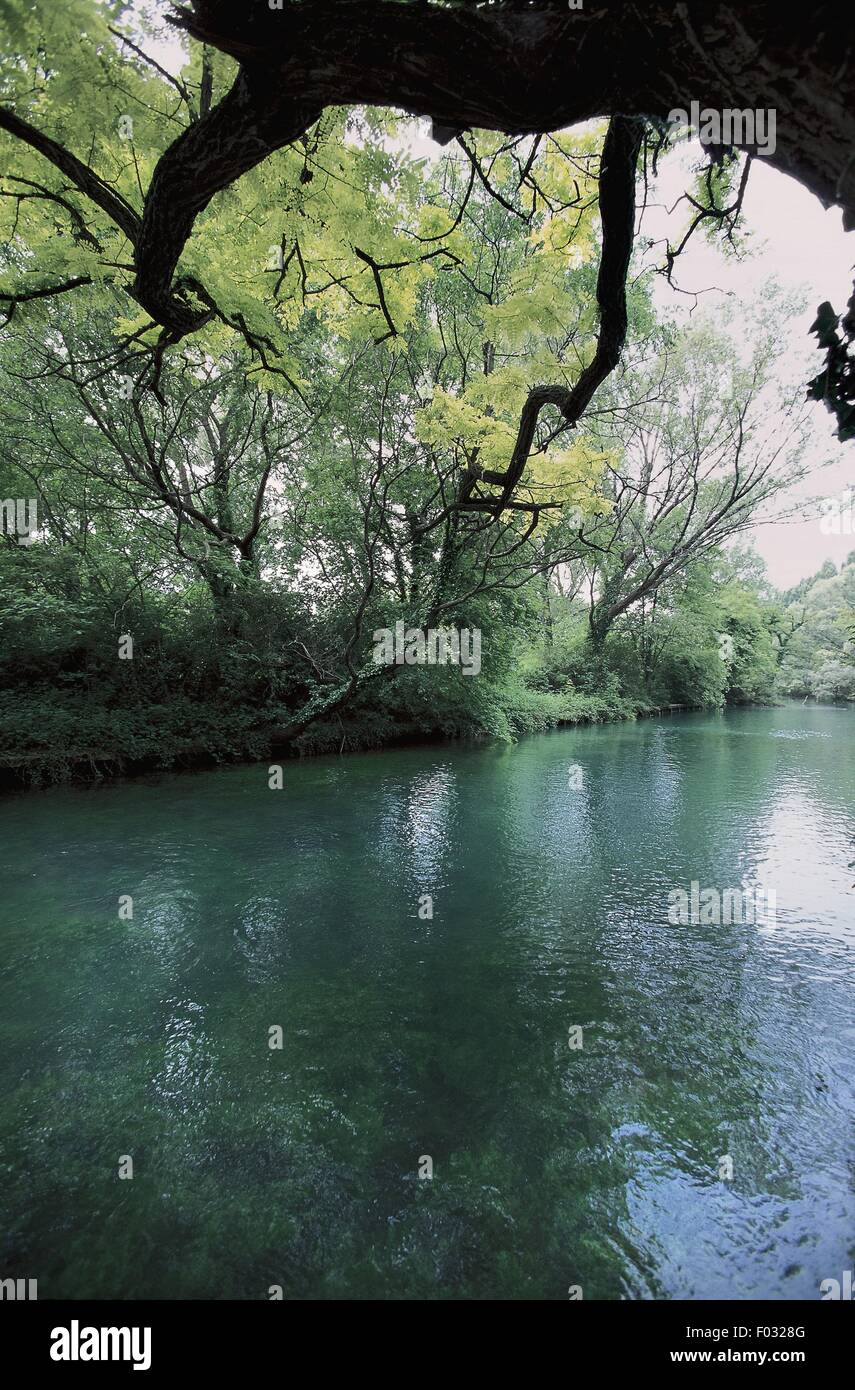 Italy - Friuli Venezia Giulia Region - Mouths of Timavo River Stock ...