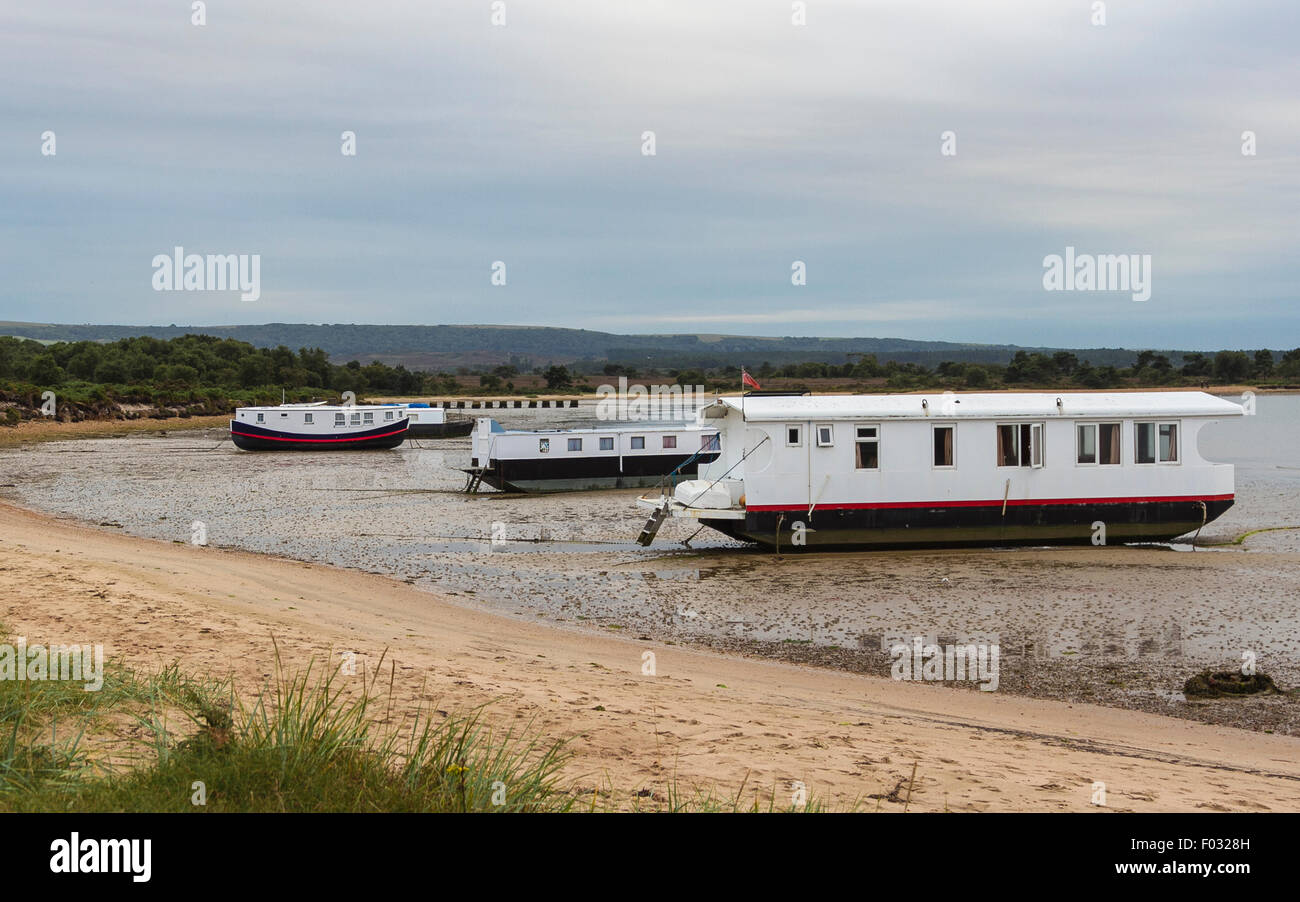 Shell Bay Studland Poole Dorset Stock Photo - Alamy