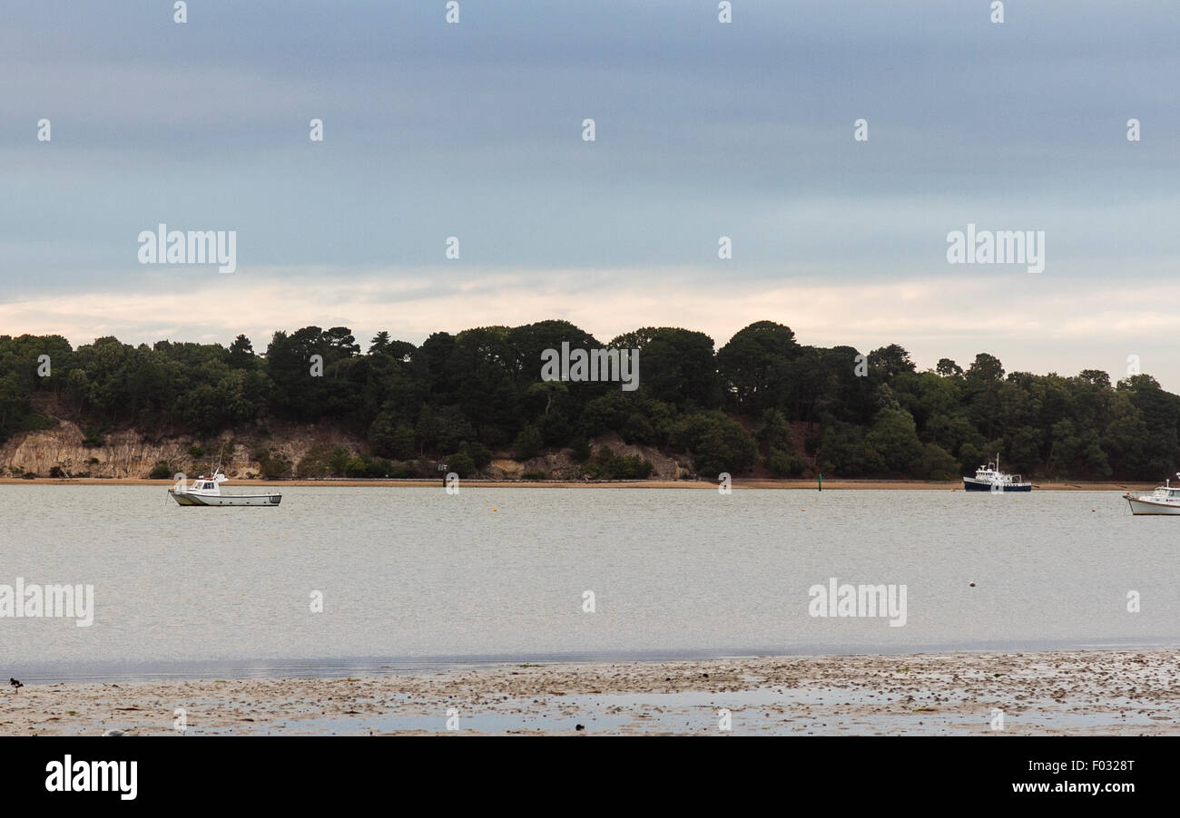 Shell Bay Studland Poole Dorset Stock Photo - Alamy