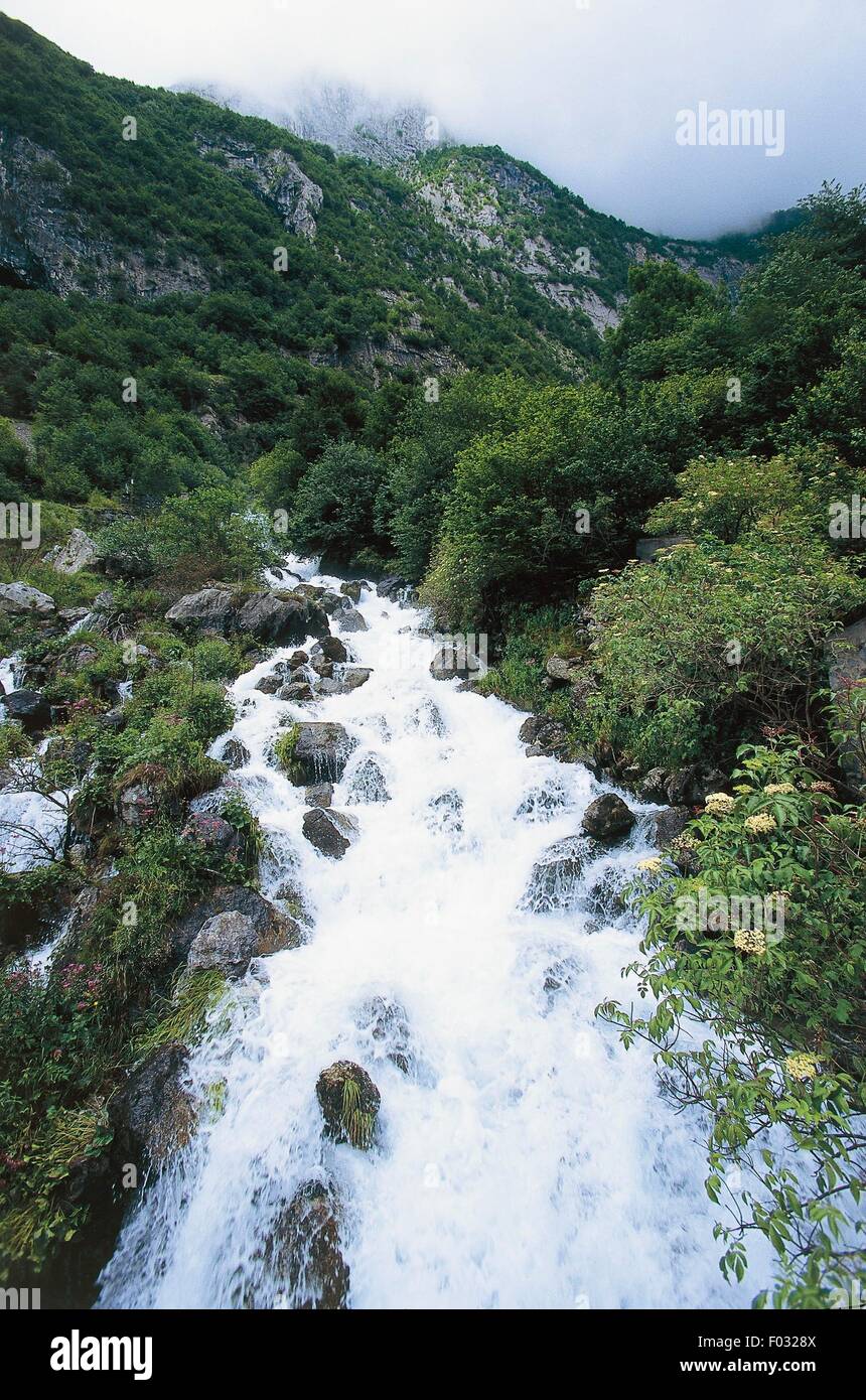 Timavo Carnico or Fontanone, near Timau, Friuli-Venezia Giulia, Italy ...