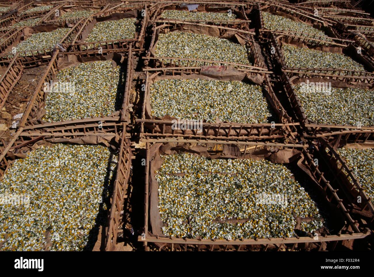 Faiyum oasis hi-res stock photography and images - Alamy