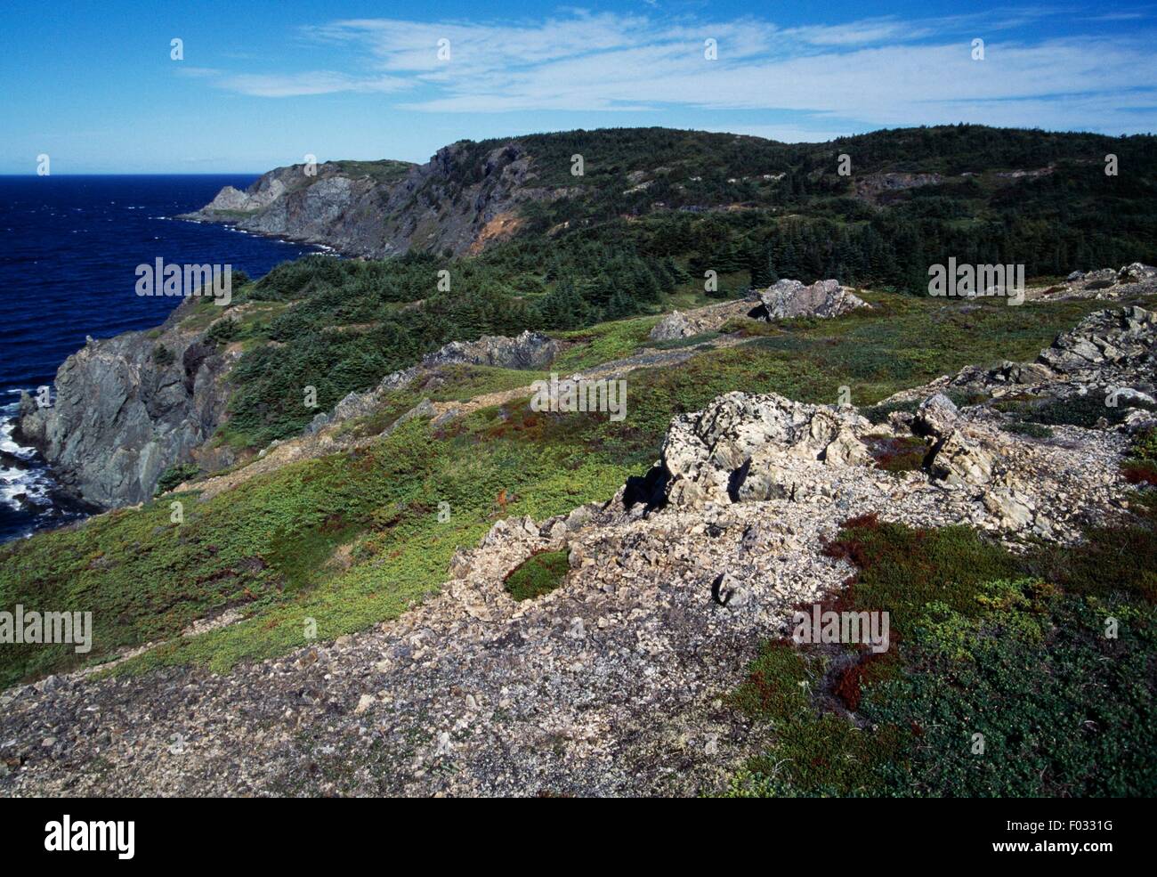 The coastline near Long Pointe Lighthouse, North Twillingate Island ...