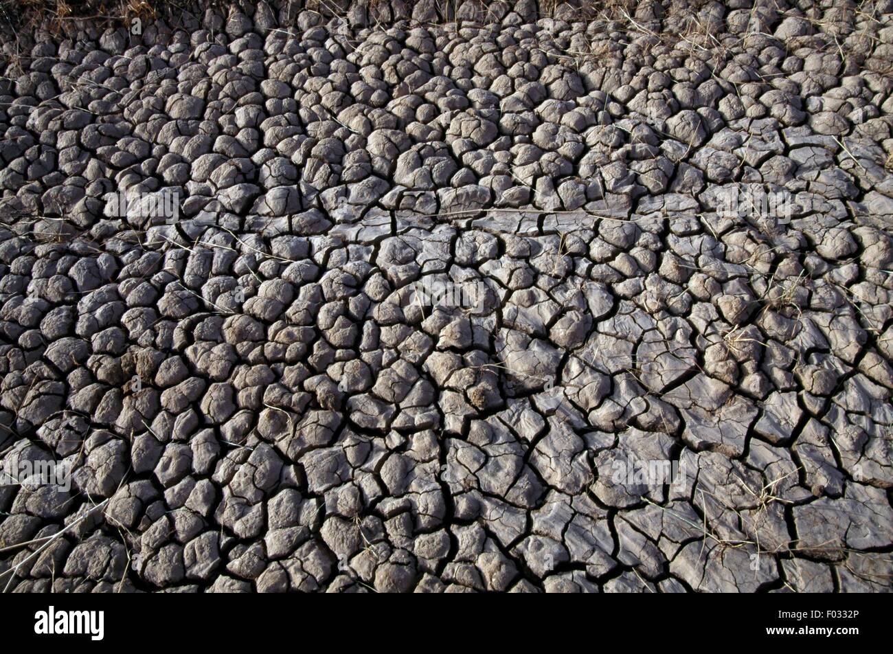 Effects of drought on the land, Dakhla Oasis, Libyan Desert, Egypt ...