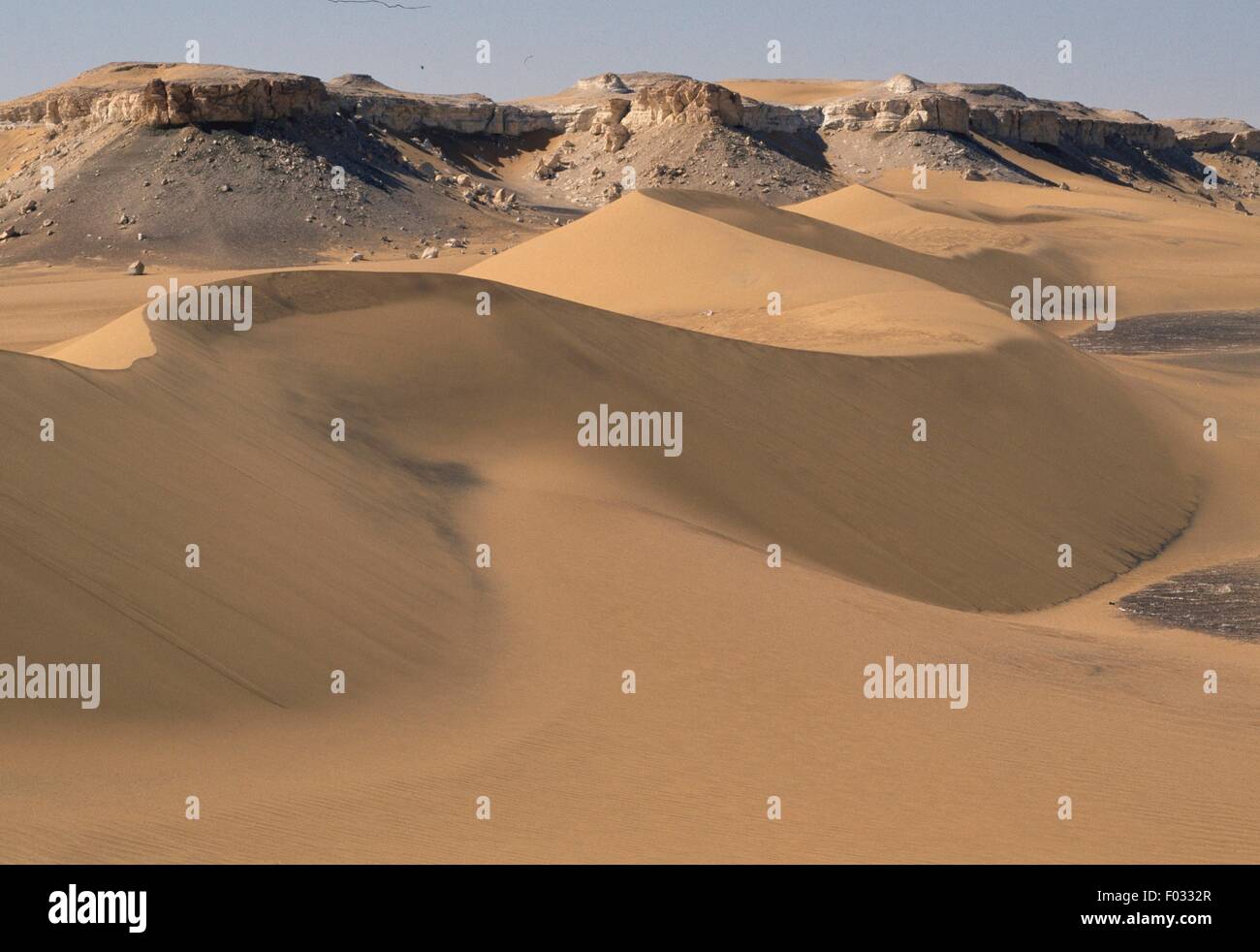 Oasis Geography Definition