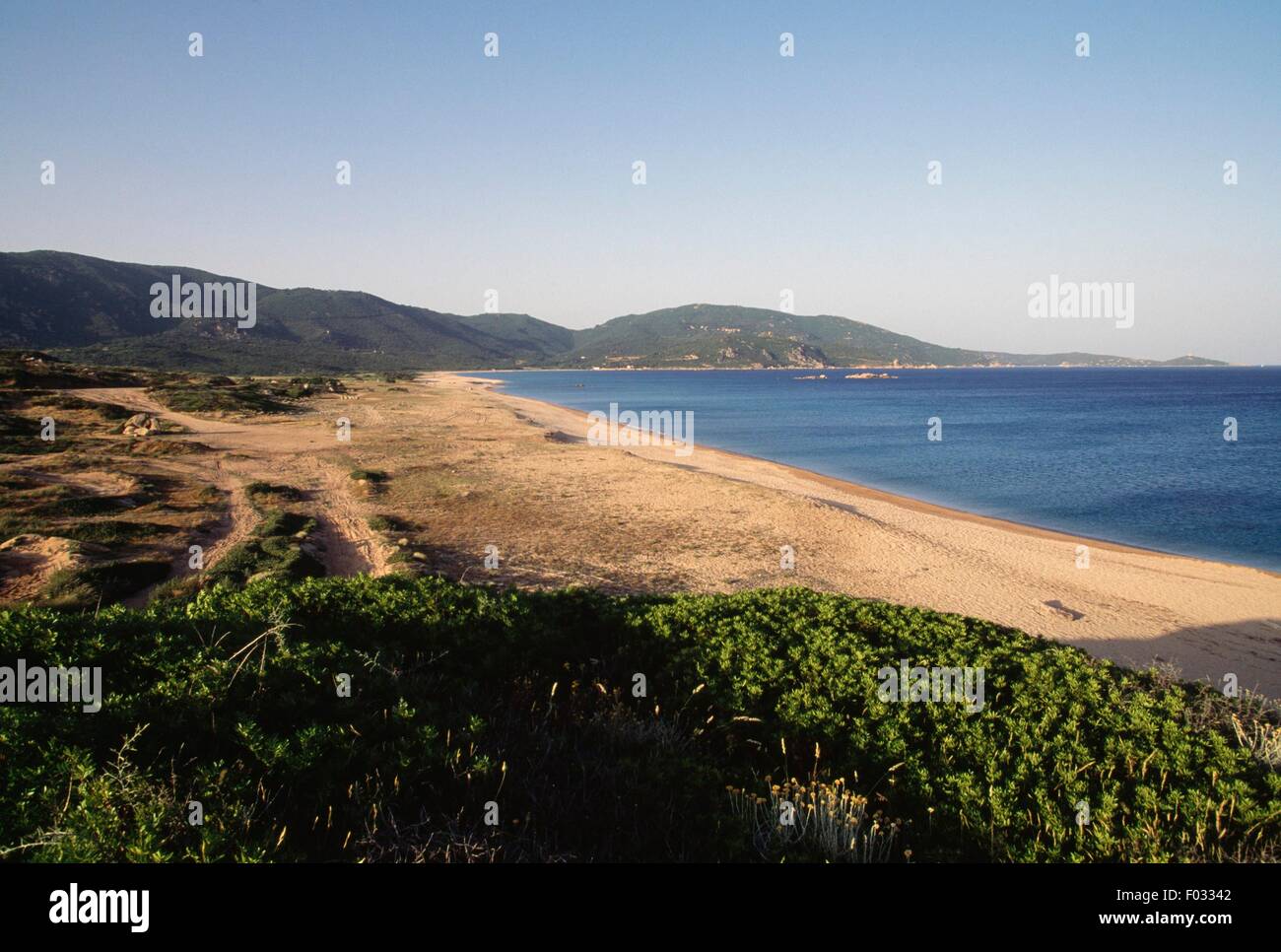 Beach, Propriano, Corsica, France Stock Photo - Alamy