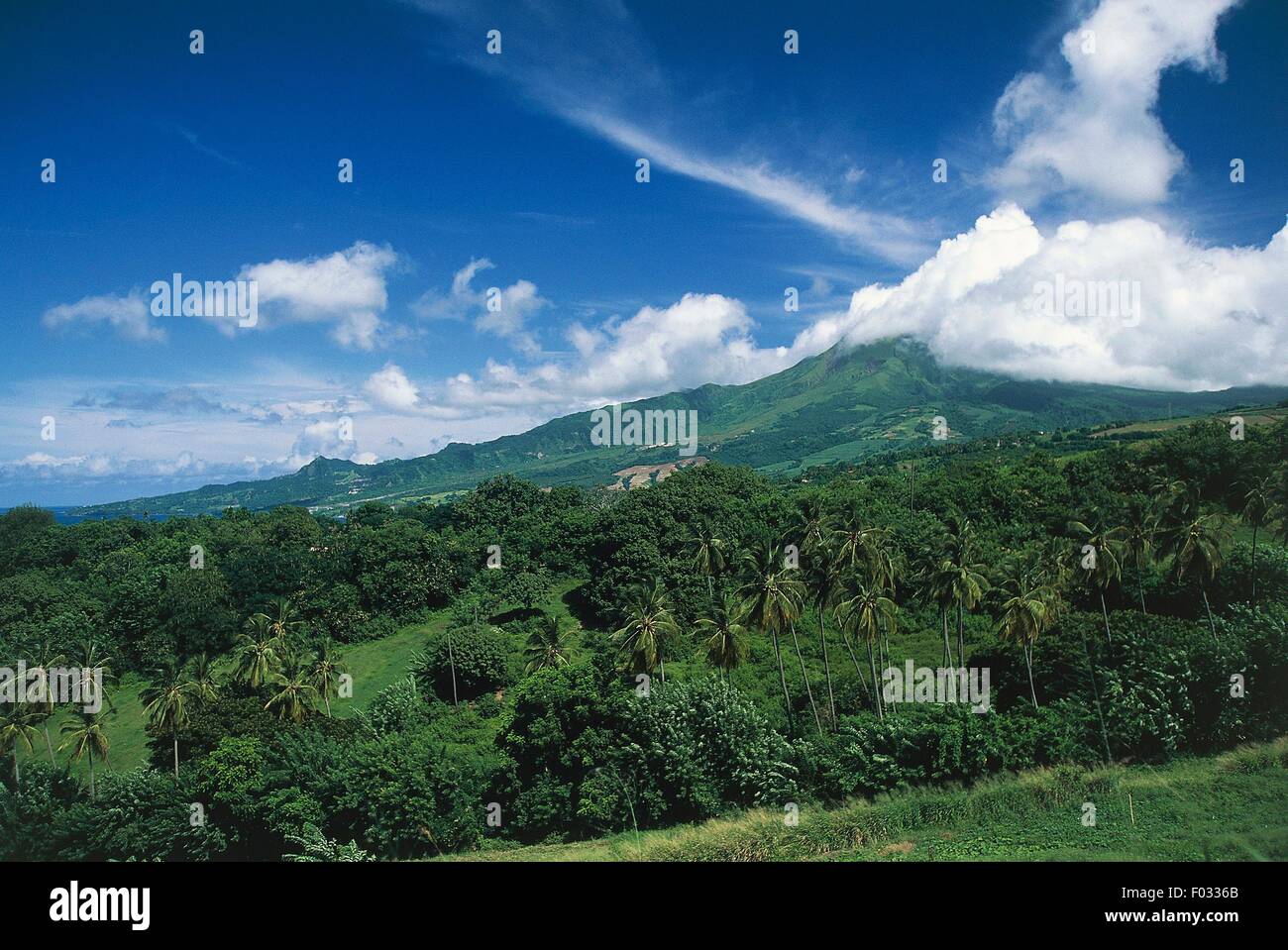 Mount pelee volcano hi-res stock photography and images - Alamy