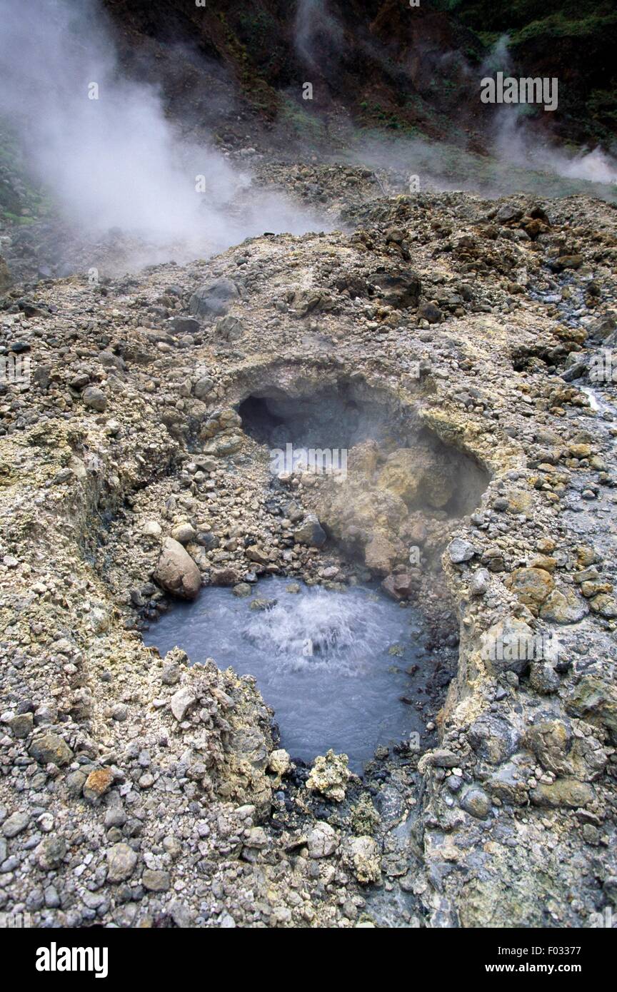 Fumaroles in the Valley Of Desolation volcanic area, Dominica Stock ...