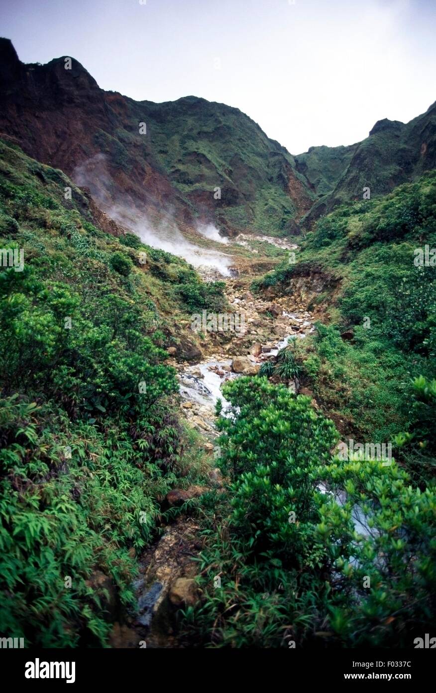 Fumaroles in the Valley Of Desolation volcanic area, Dominica Stock ...