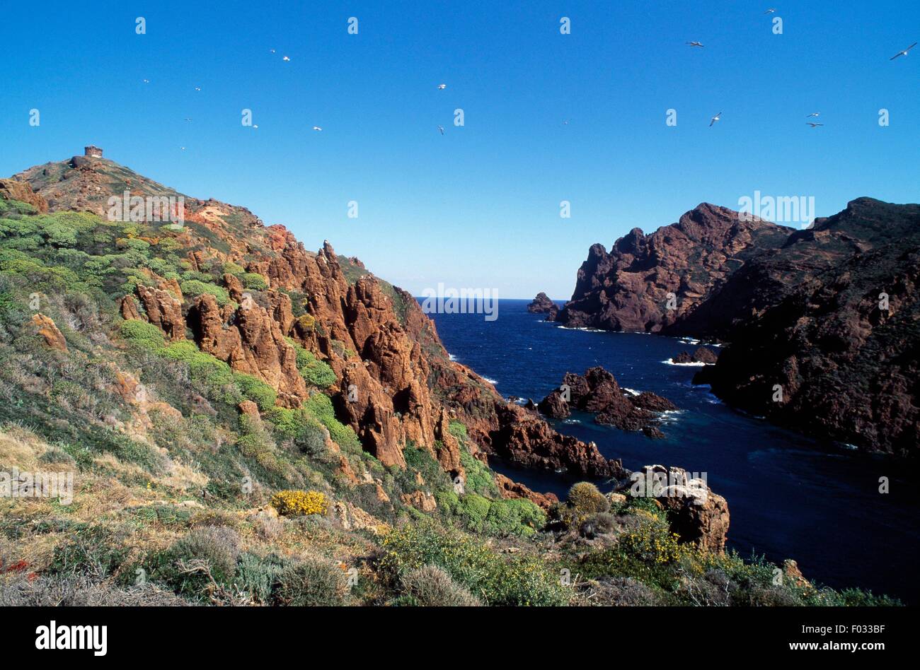 The rocks of Punta Palazzu seen from Gargali island, Girolata, Scandola ...
