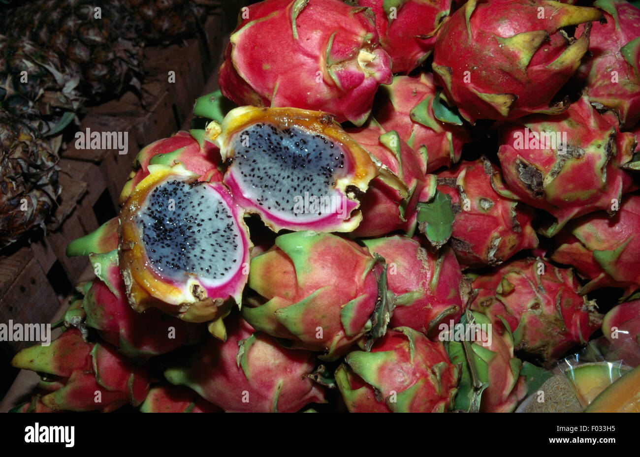 Pitaya, fruit, Merida, Mexico, Yucatan Stock Photo - Alamy