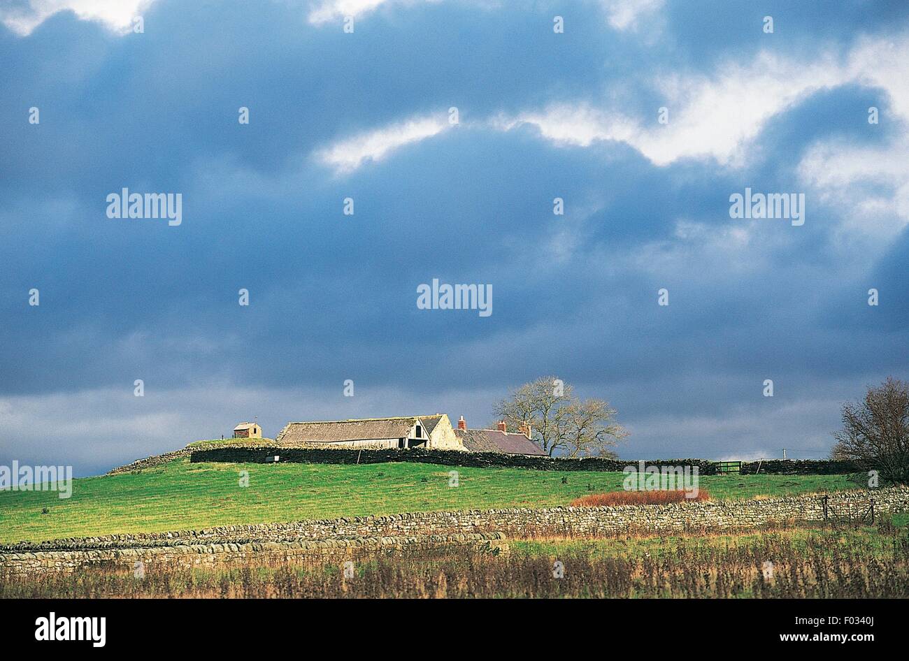 Carrawburgh, Northumberland, England, United Kingdom Stock Photo - Alamy