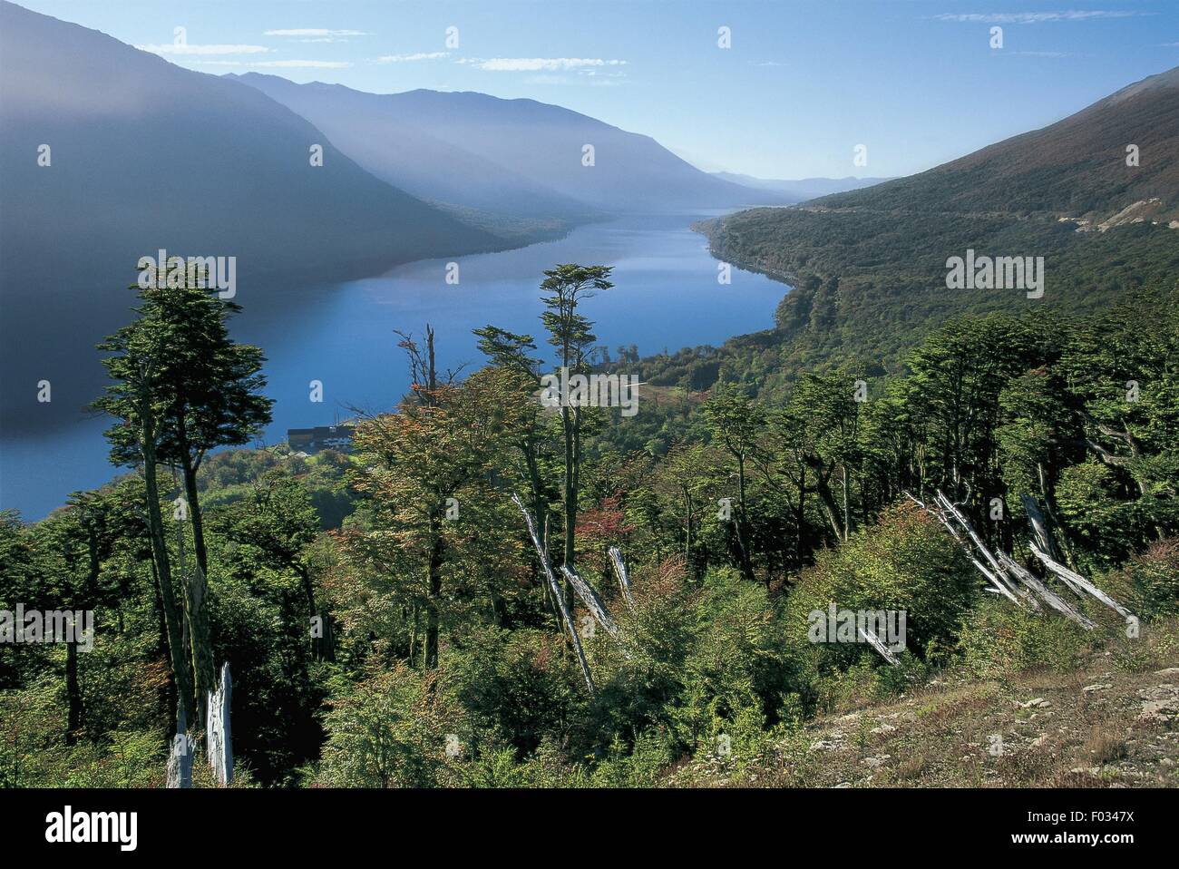 Fagnano hi-res stock photography and images - Alamy