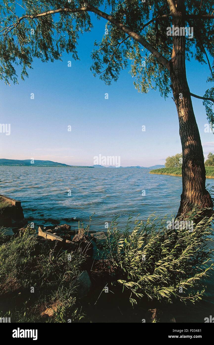 Lake Balaton near Veszprem, Hungary Stock Photo - Alamy