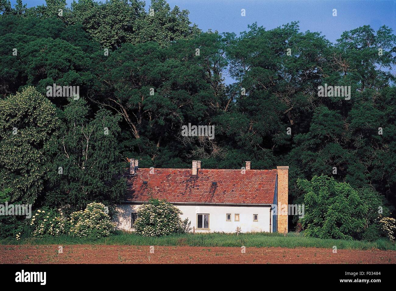 House near Fertod, Gyor-Moson-Sopron province, Hungary Stock Photo - Alamy