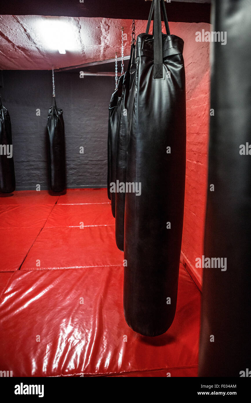 Punching bags in red boxing area Stock Photo - Alamy