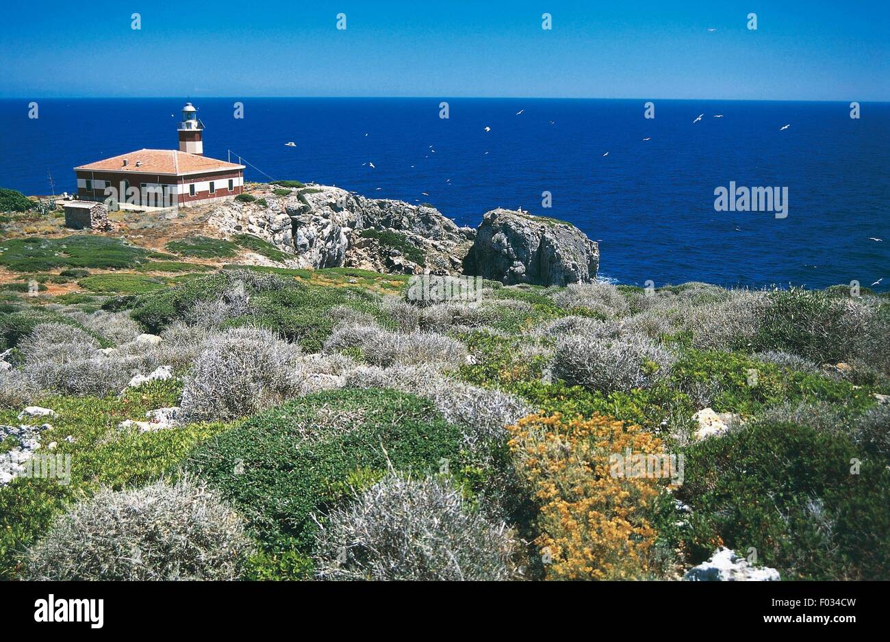 Giannutri lighthouse, 1861, at Punta Rossa or Punta di Capel Rosso ...