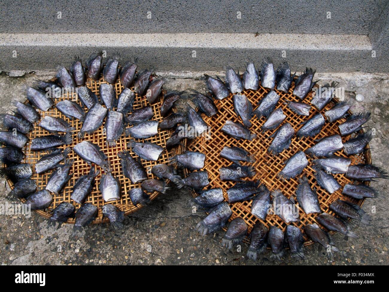 Fish, Bangkok, Thailand Stock Photo - Alamy