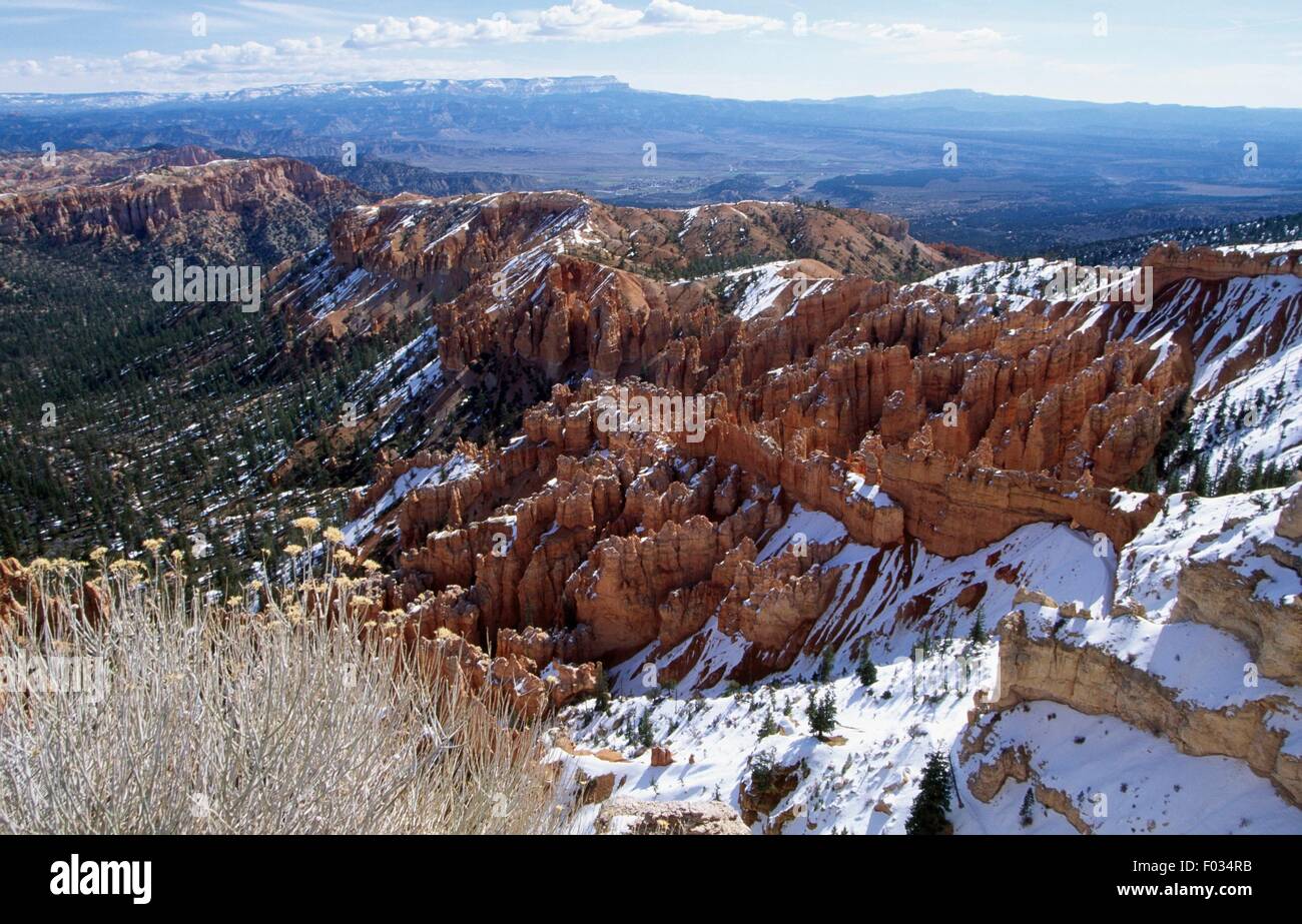 Effects characteristic of rock erosion, Bryce Canyon National Park ...