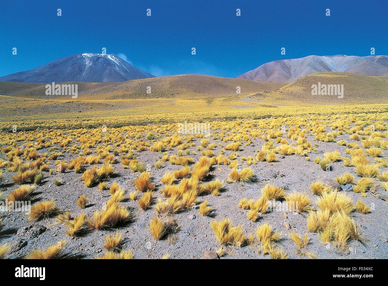 Chile - Norte Grande region - Antofagasta. Atacama Desert near Talabre ...