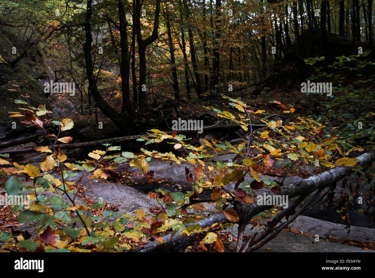 Ballatoio hi-res stock photography and images - Alamy