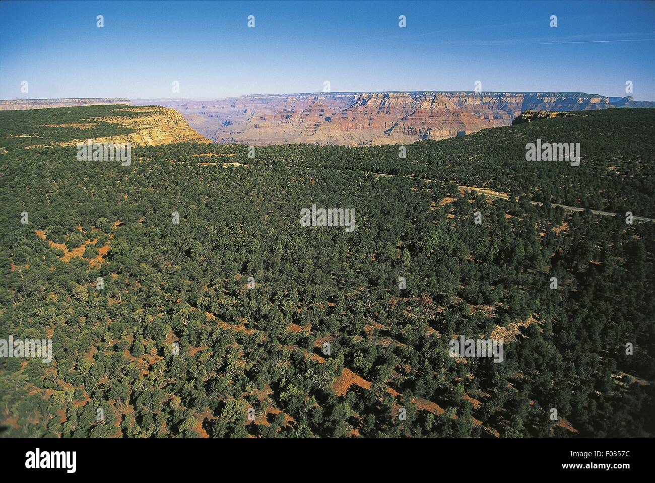 USA, Arizona, Colorado Plateaus Province, Coconino Plateau, Forest ...