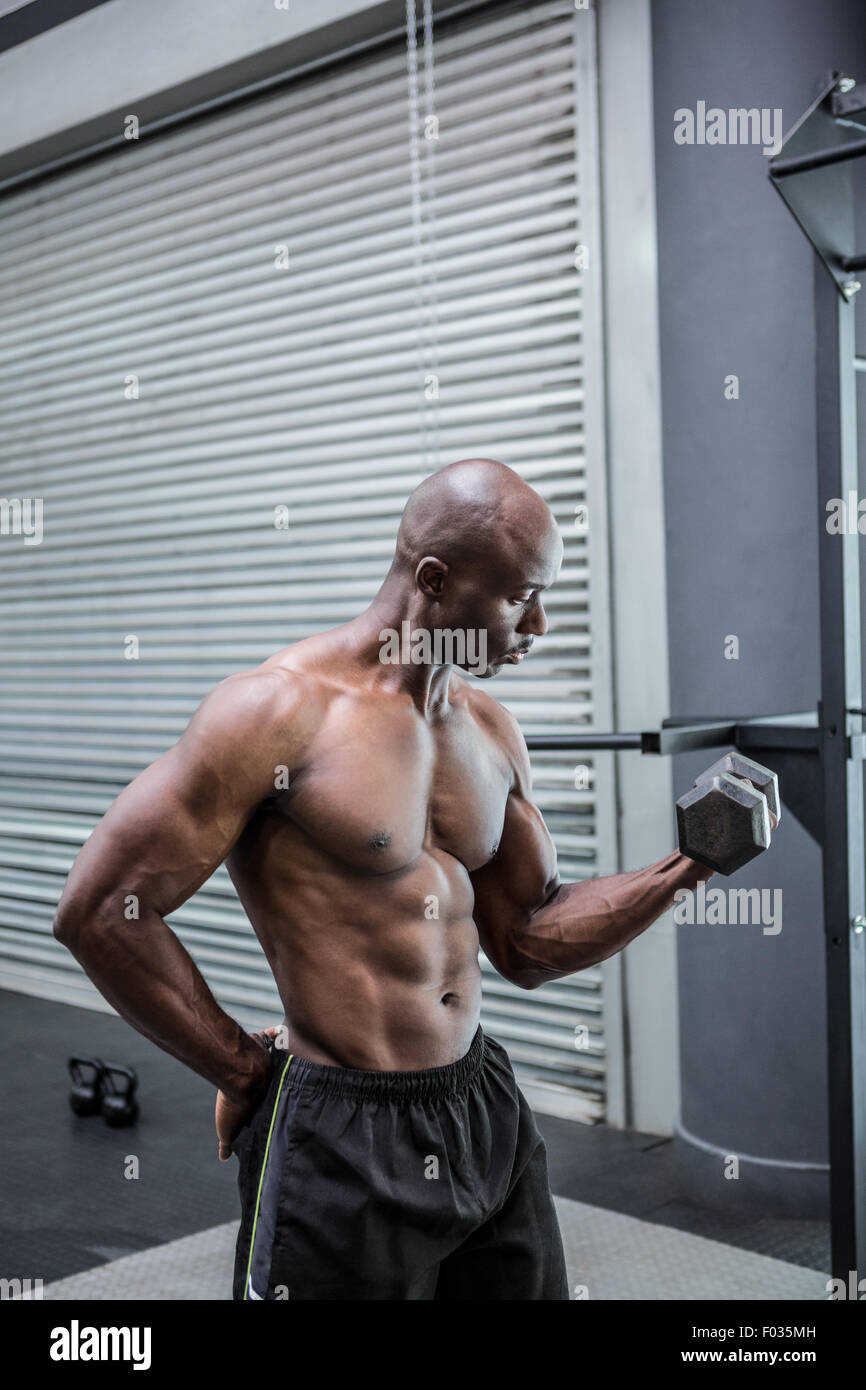 Young bodybuilder muscular body hi-res stock photography and images - Alamy