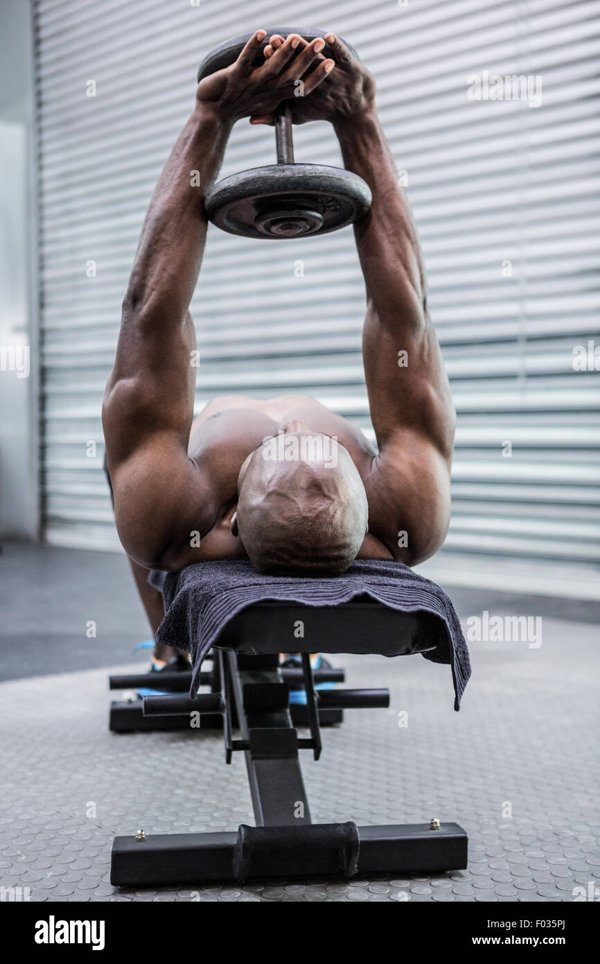 Young Bodybuilder doing weightlifting Stock Photo - Alamy