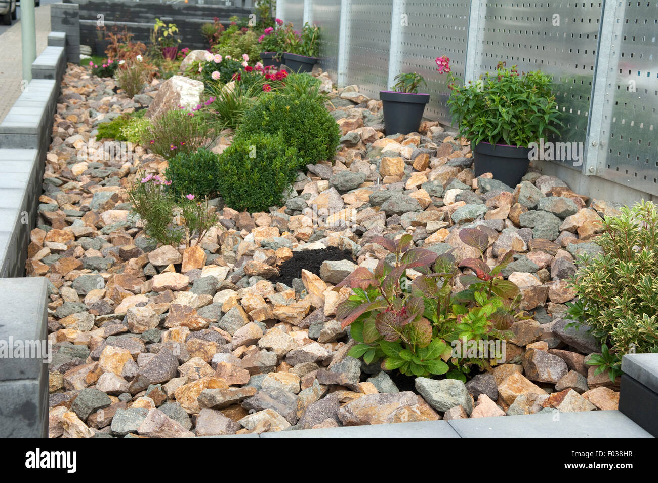 Steingarten plants hi-res stock photography and images - Alamy
