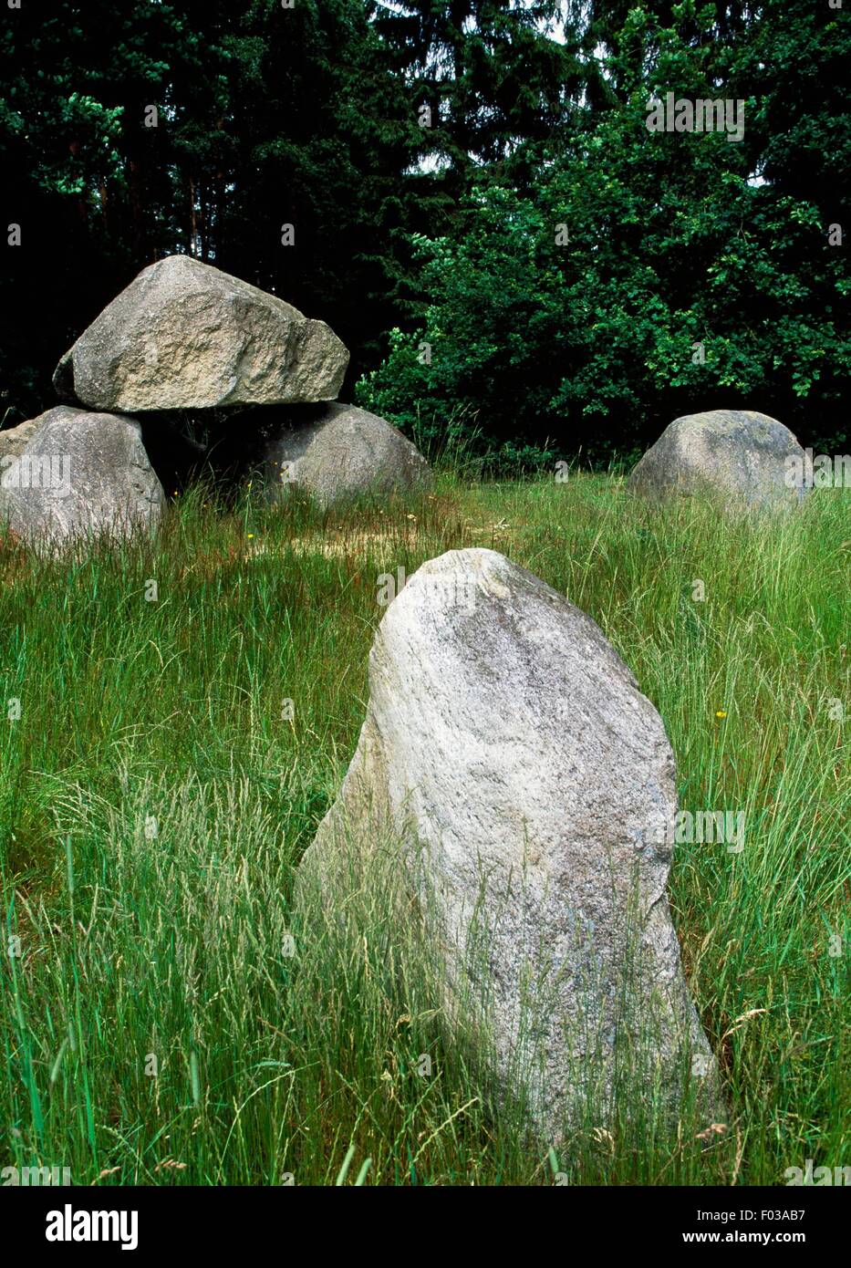 A dolmen in Luneburg Heath Nature Park (Naturpark Luneburger Heide ...