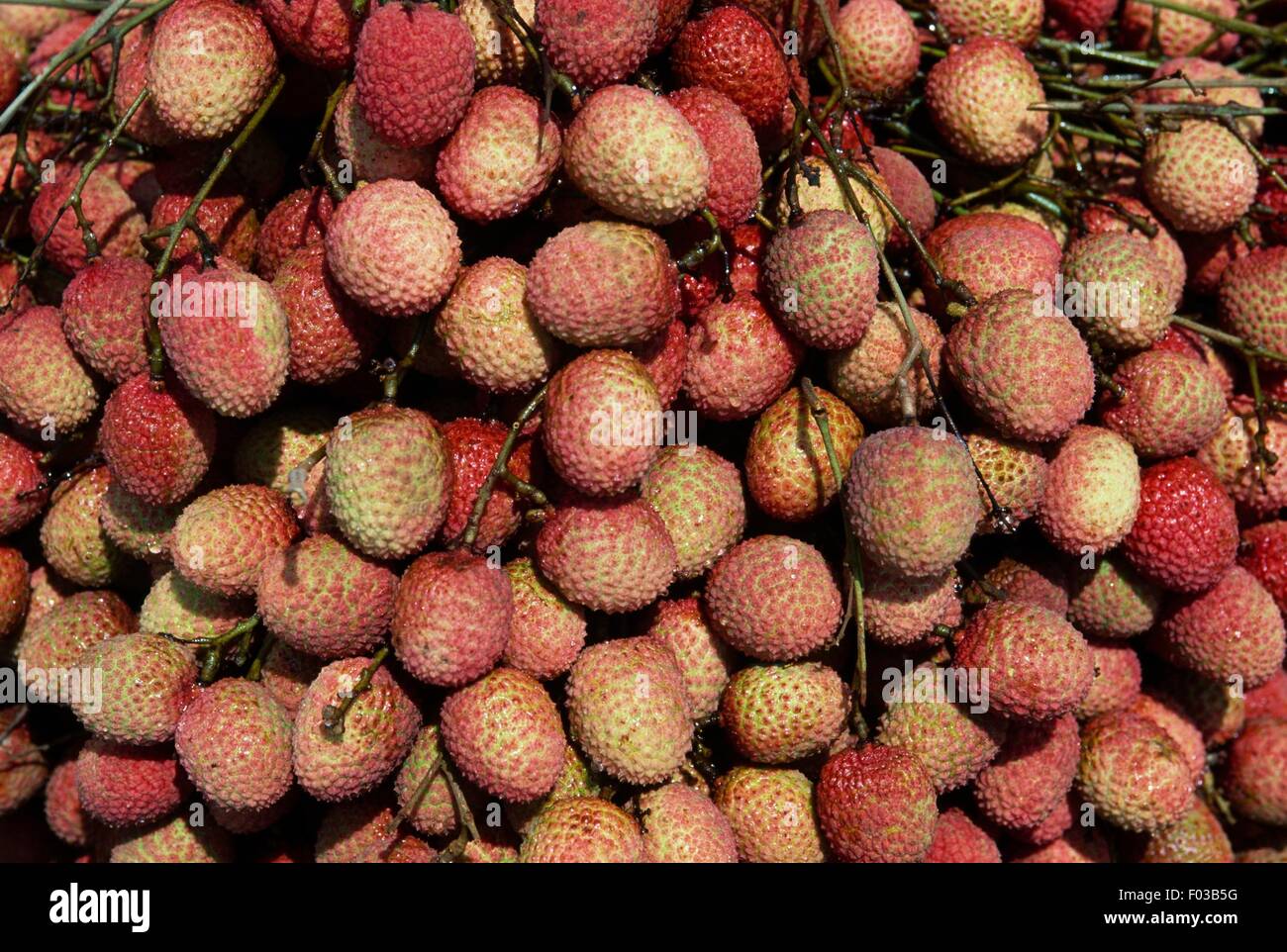 Lychees on sale at the market, Port Louis, Mauritius Stock Photo - Alamy