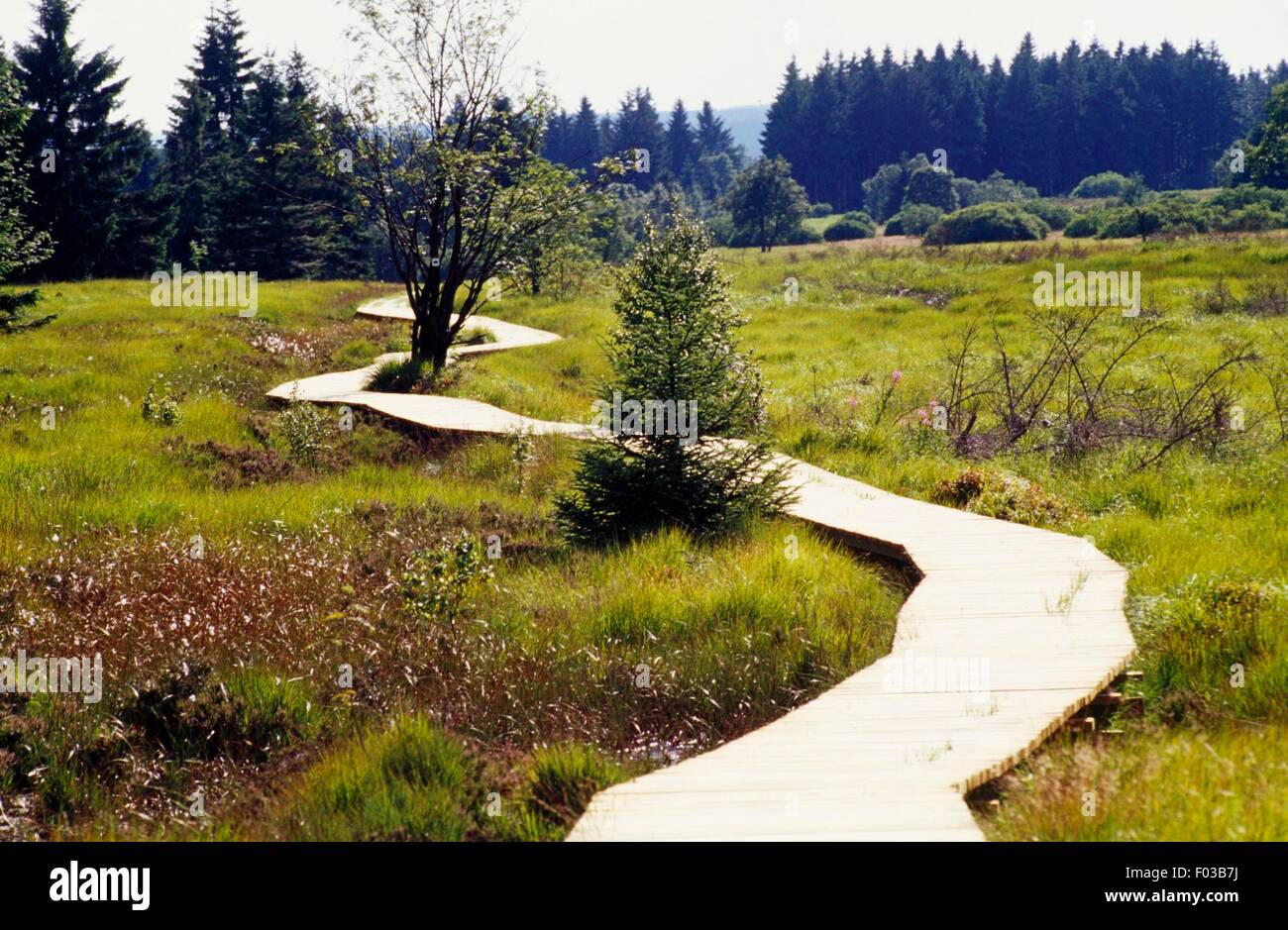 Structure naturelle hi-res stock photography and images - Alamy