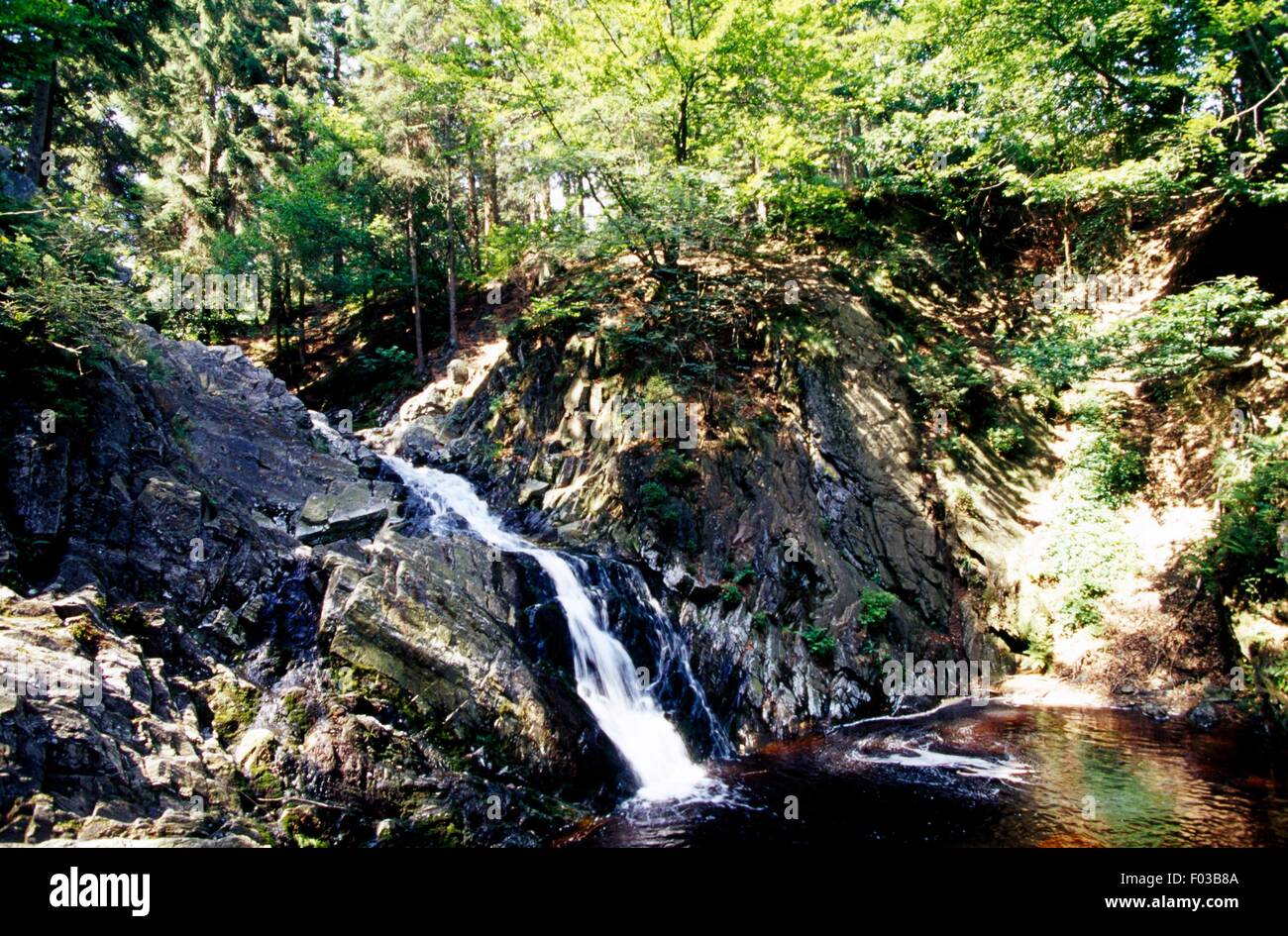 Bayehon waterfall, High Fens Natural Reserve (Reserve Naturelle des ...