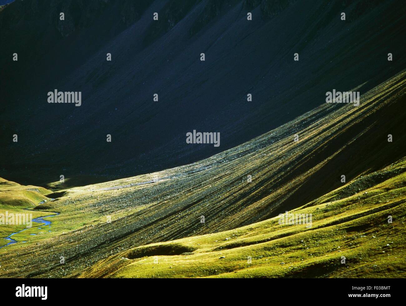 Undulating slopes of Val Montozzo, with Pejo in the background ...