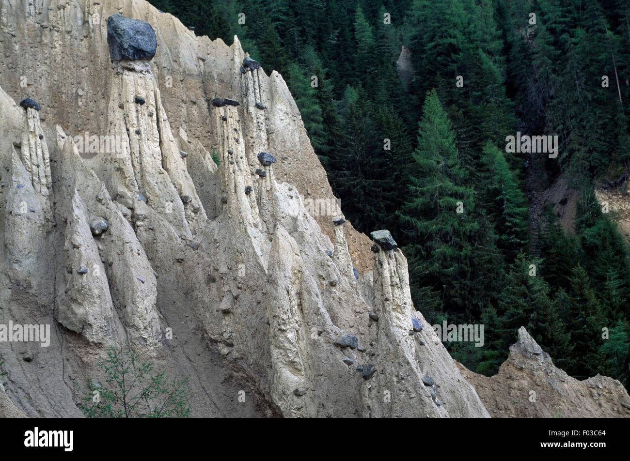 Earth pyramids in Perca, Ahrntal Valley, Trentino-Alto Adige, Italy ...