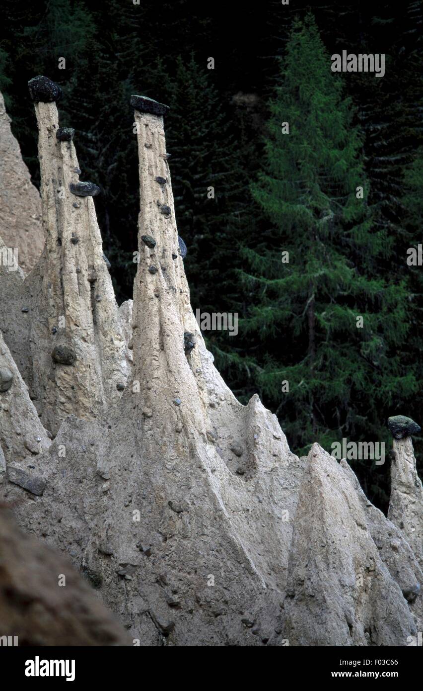 Earth pyramids in Perca, Ahrntal Valley, Trentino-Alto Adige, Italy ...