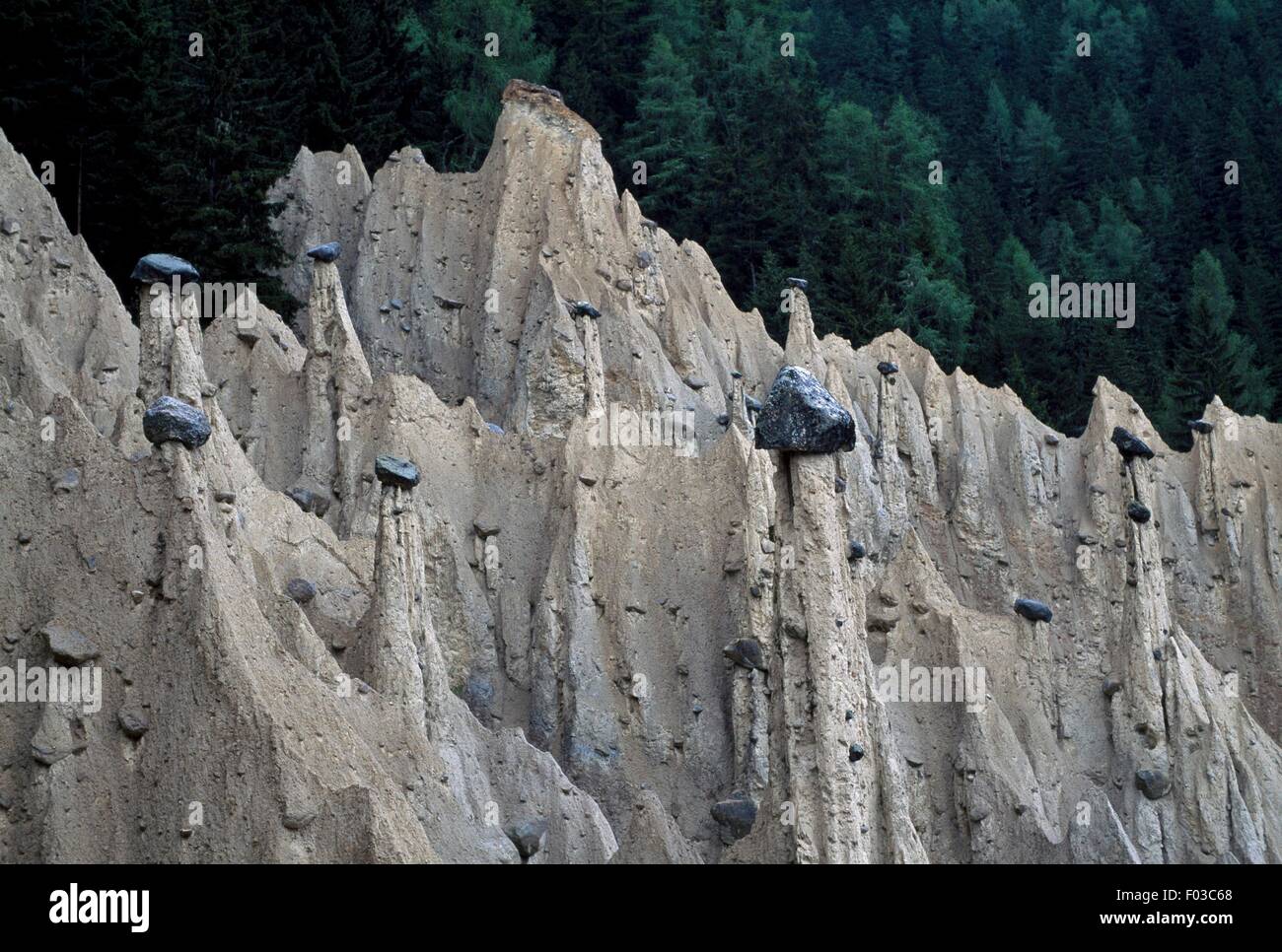 Earth pyramids in Perca, Ahrntal Valley, Trentino-Alto Adige, Italy ...