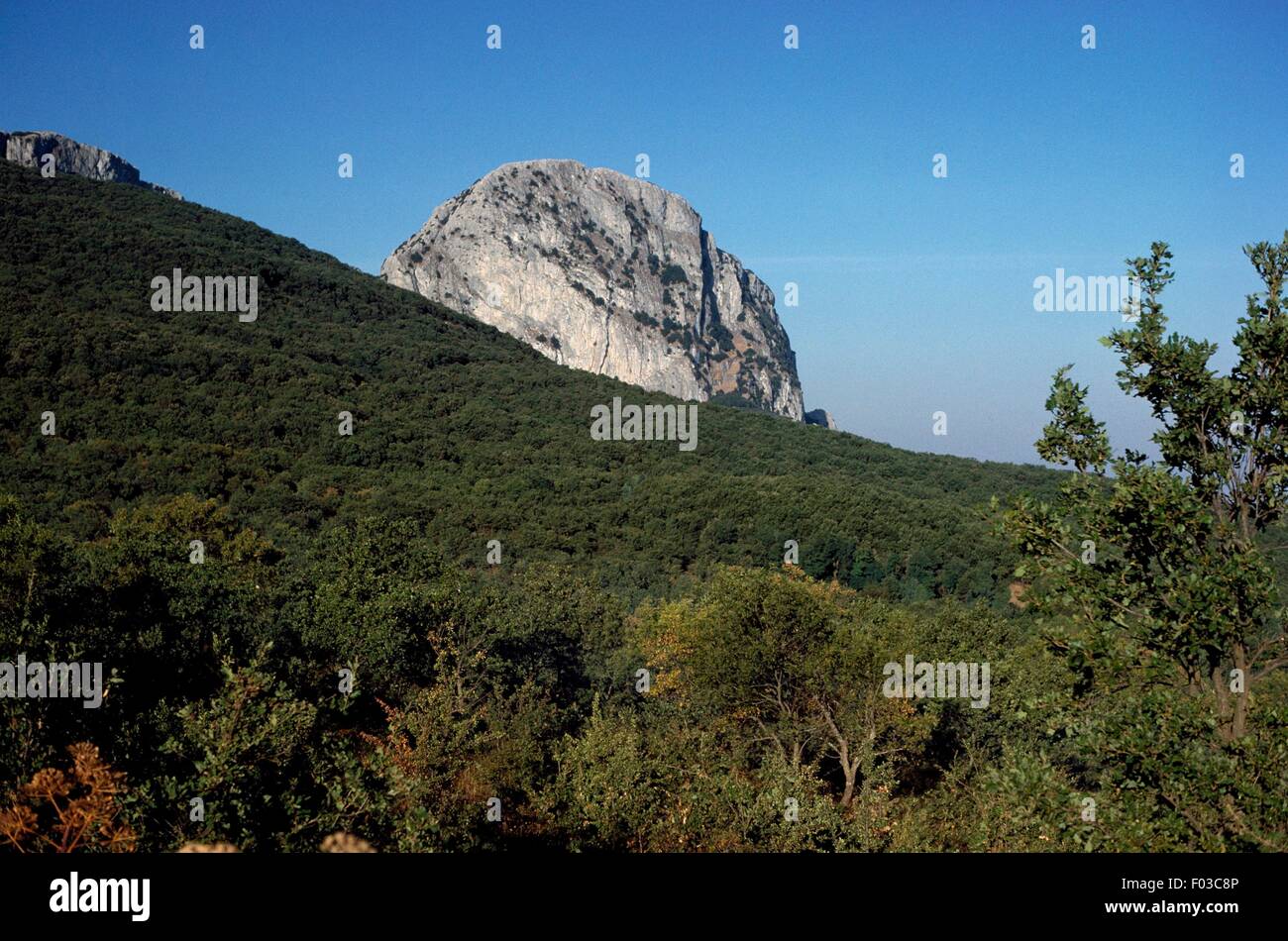 A portion of Busambra Rock reliefs, Oriented Natural Reserve of Ficuzza ...