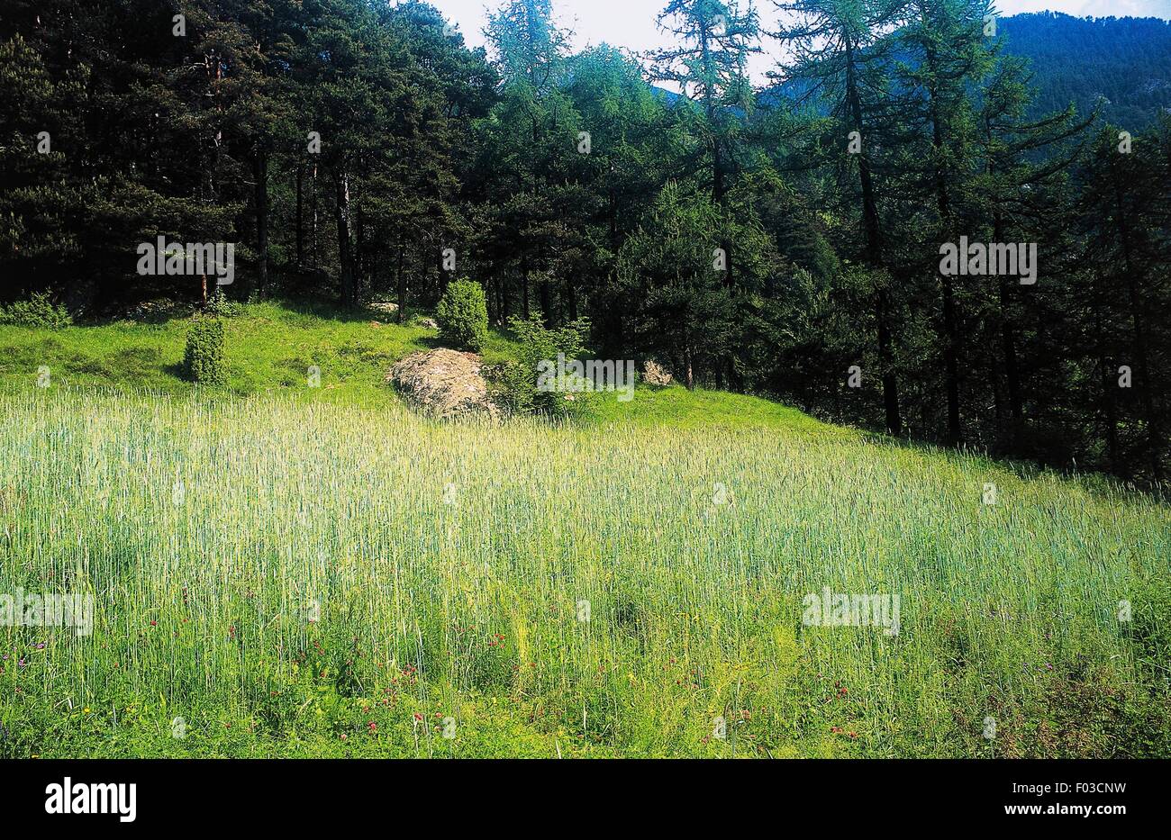 Chalamy Valley High Resolution Stock Photography and Images - Alamy