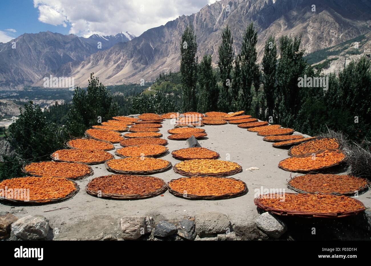 Hunza apricots pakistan hi-res stock photography and images - Alamy