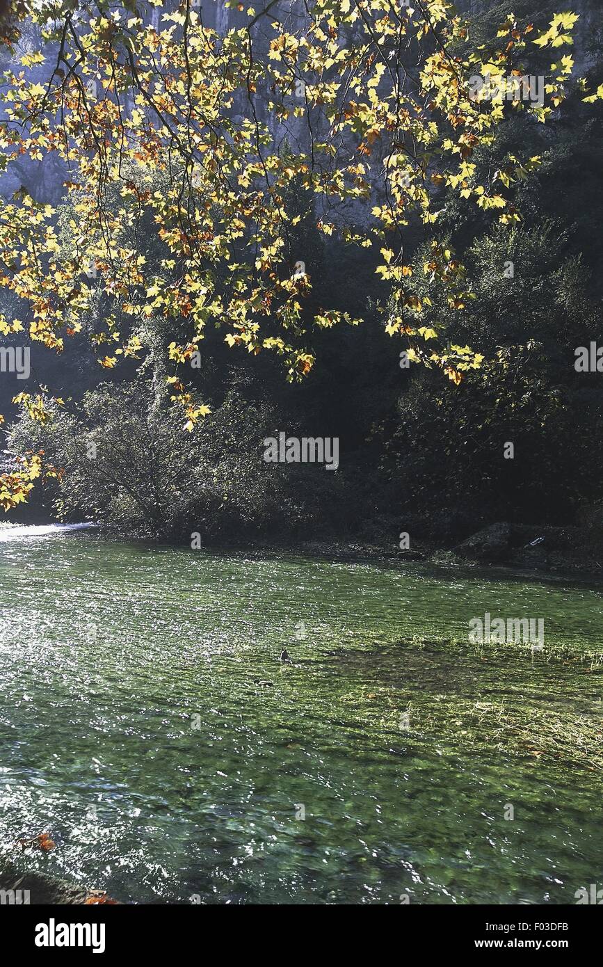 France - Provence-Alpes-Cote d'Azur - Fontaine-de-Vaucluse. Spring ...