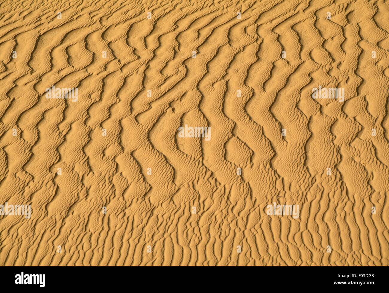 Urban drought effects hi-res stock photography and images - Alamy
