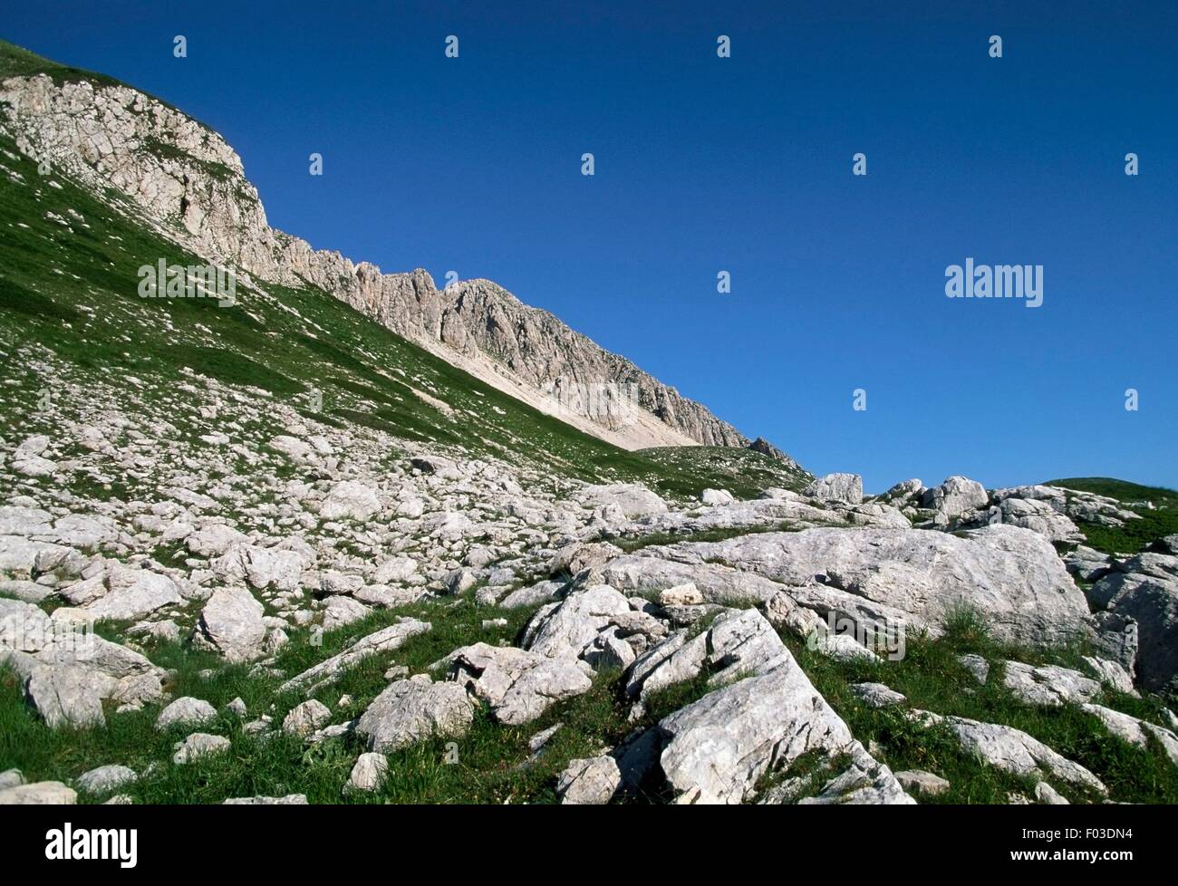 Reatini hi-res stock photography and images - Alamy