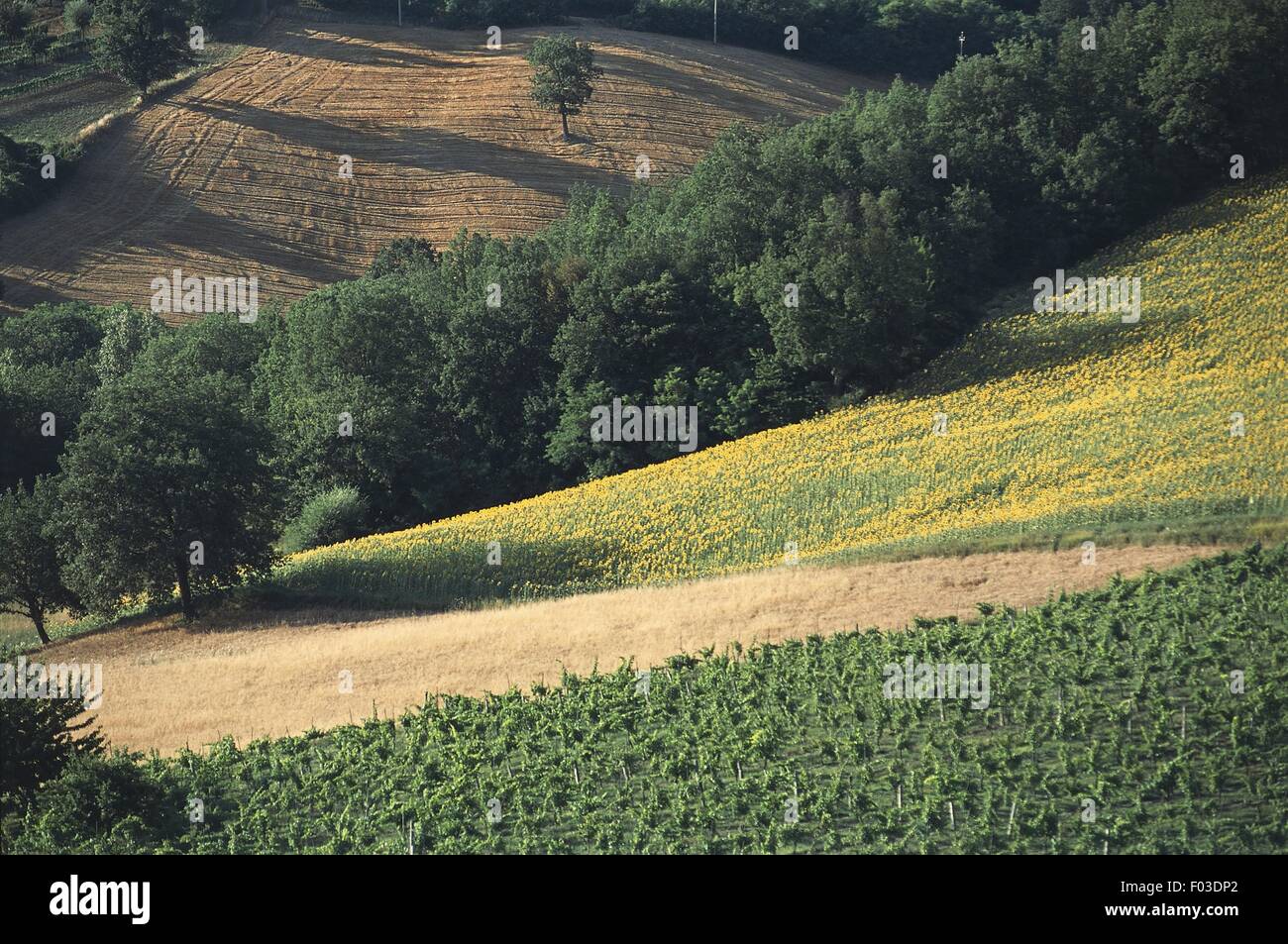 Italy - Umbria Region - Regional Park of Mount Cucco - Agricultural ...
