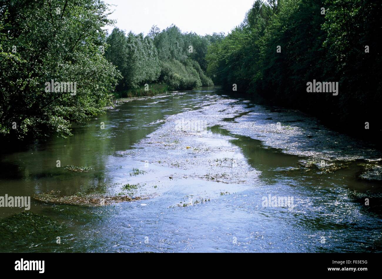 River Sile Natural Park High Resolution Stock Photography and Images ...