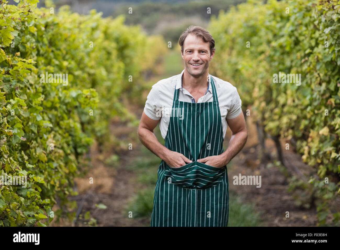Happy vintner with hands in pockets Stock Photo - Alamy